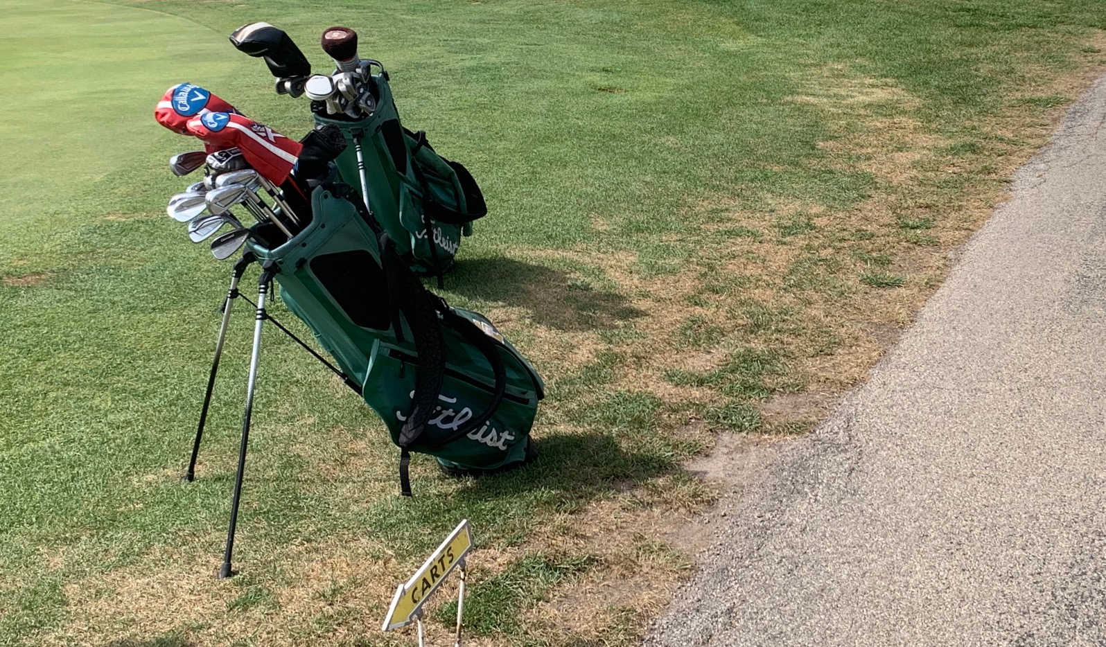 Haldorsen, Bratton lead inexperienced MHS girls golf team – Coles ...